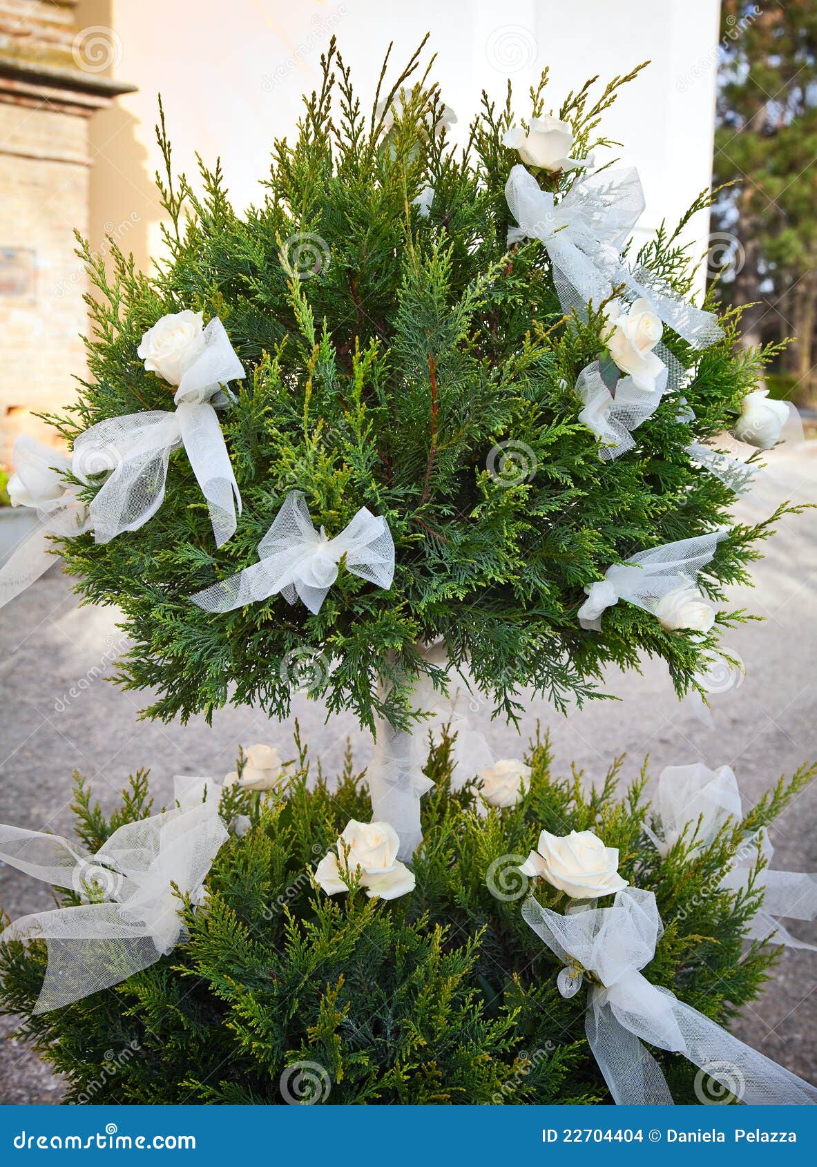 White Roses and Bows for a Wedding Stock Photo - Image of ribbon ...