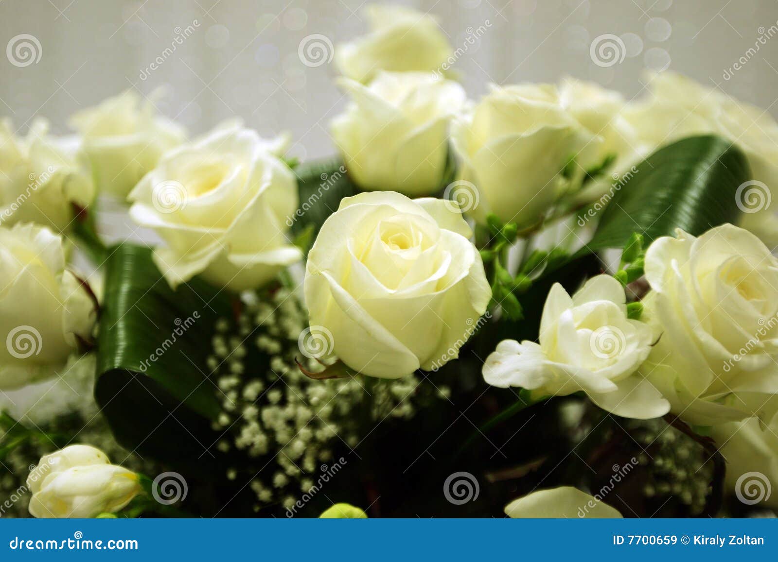 White Roses Flower Arrangement Stock Image - Image of valentine ...