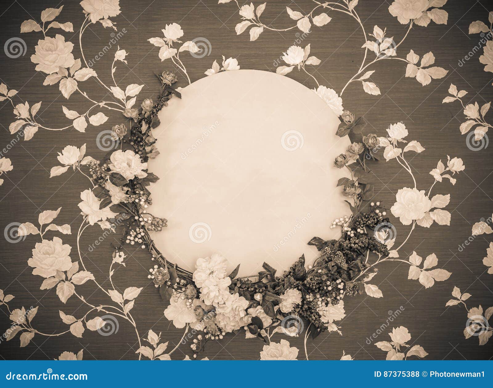 White roses in the frame. stock photo. Image of frame - 87375388