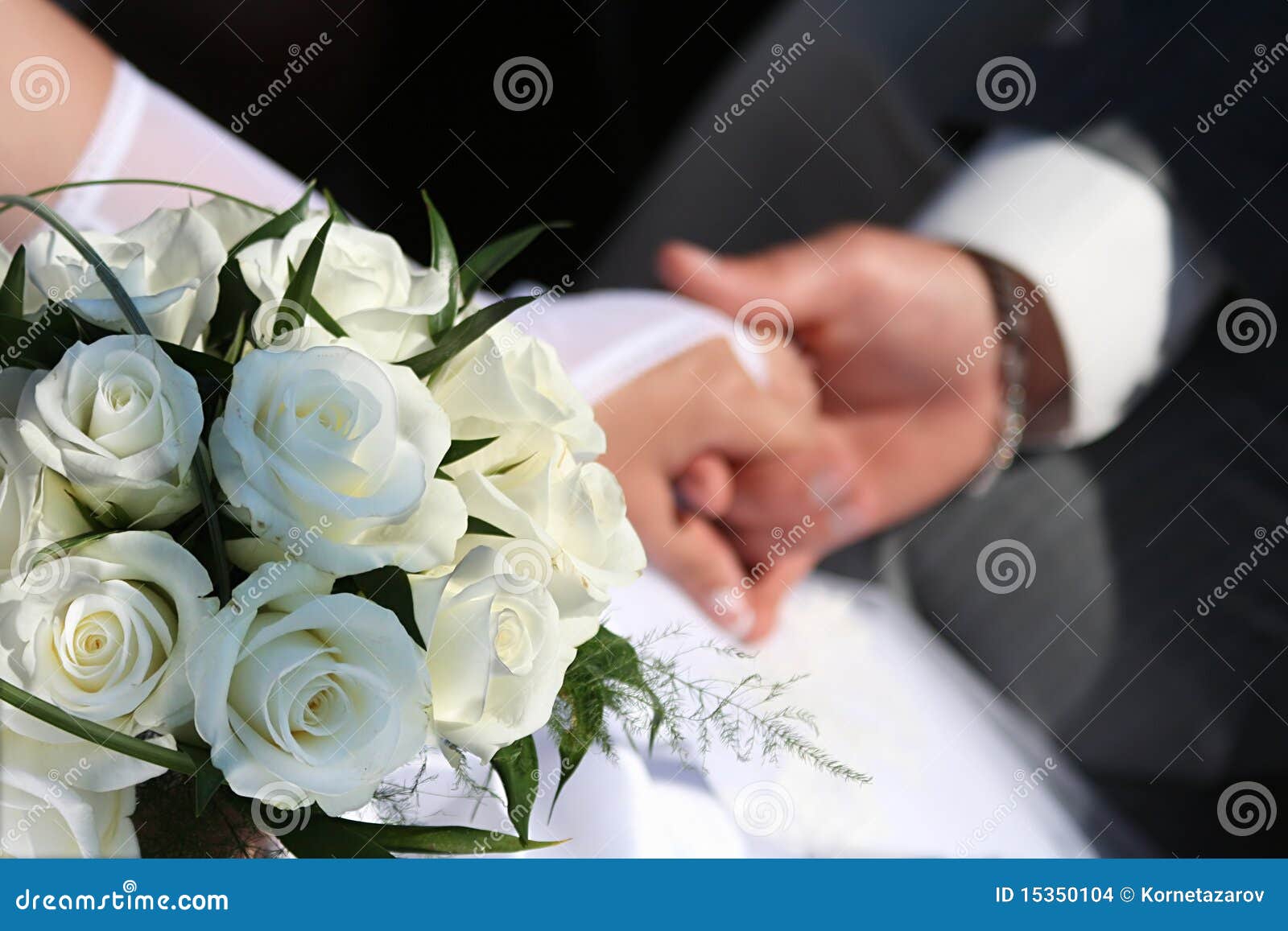 White roses and hands. stock photo. Image of beautiful - 15350104