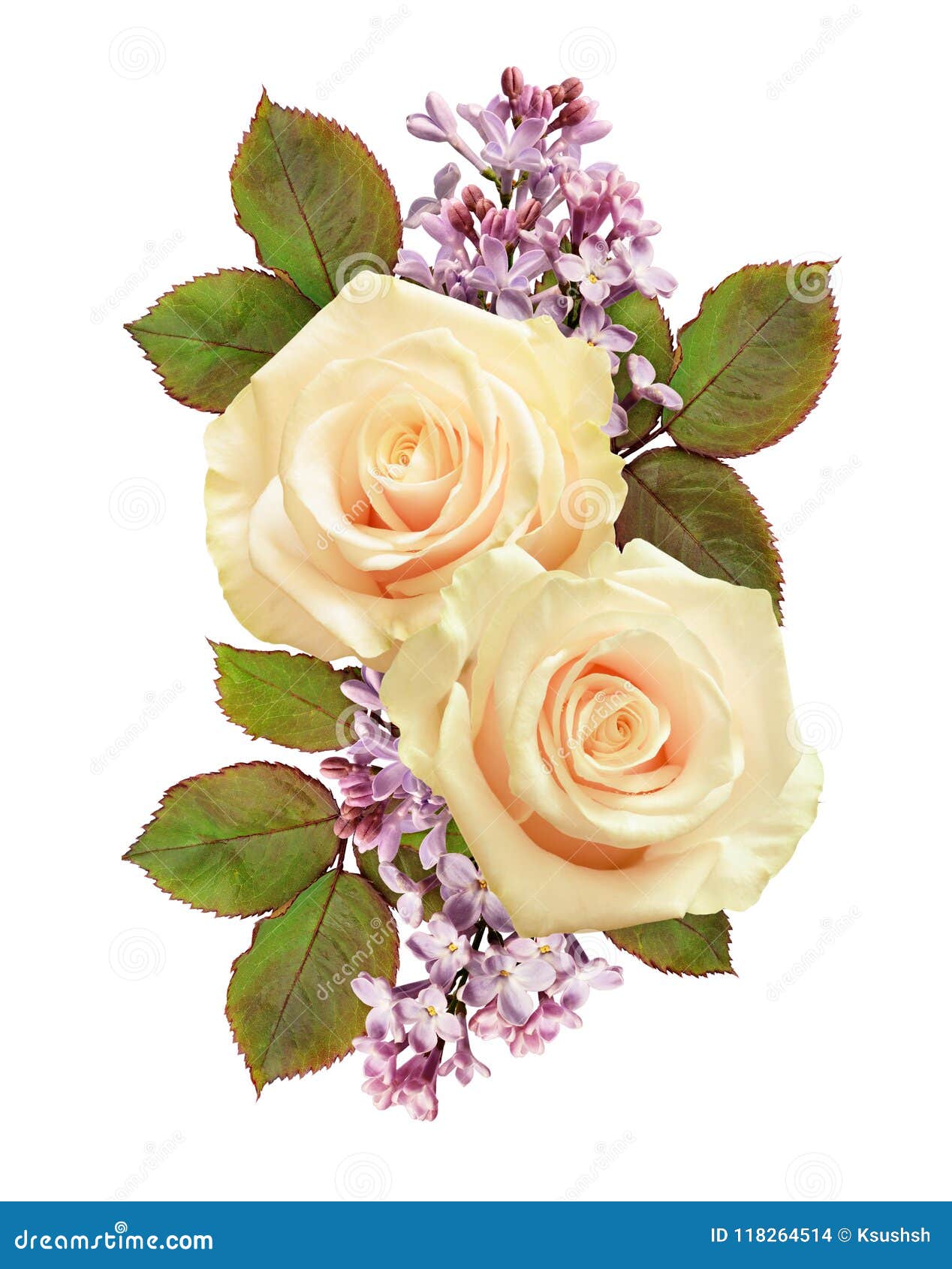 White Roses and Lilac Flowers in Festive Composition Stock Photo ...