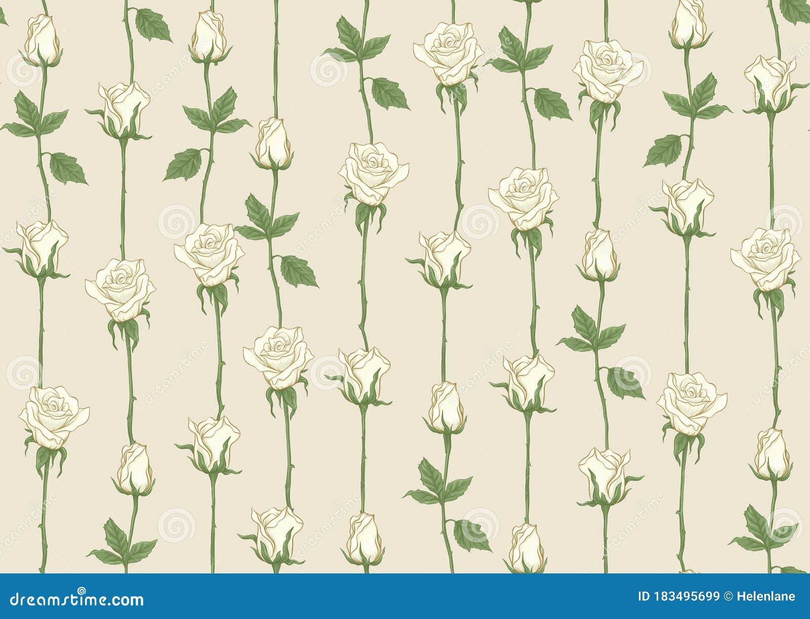 White Roses Seamless Pattern, Background. Stock Vector - Illustration ...
