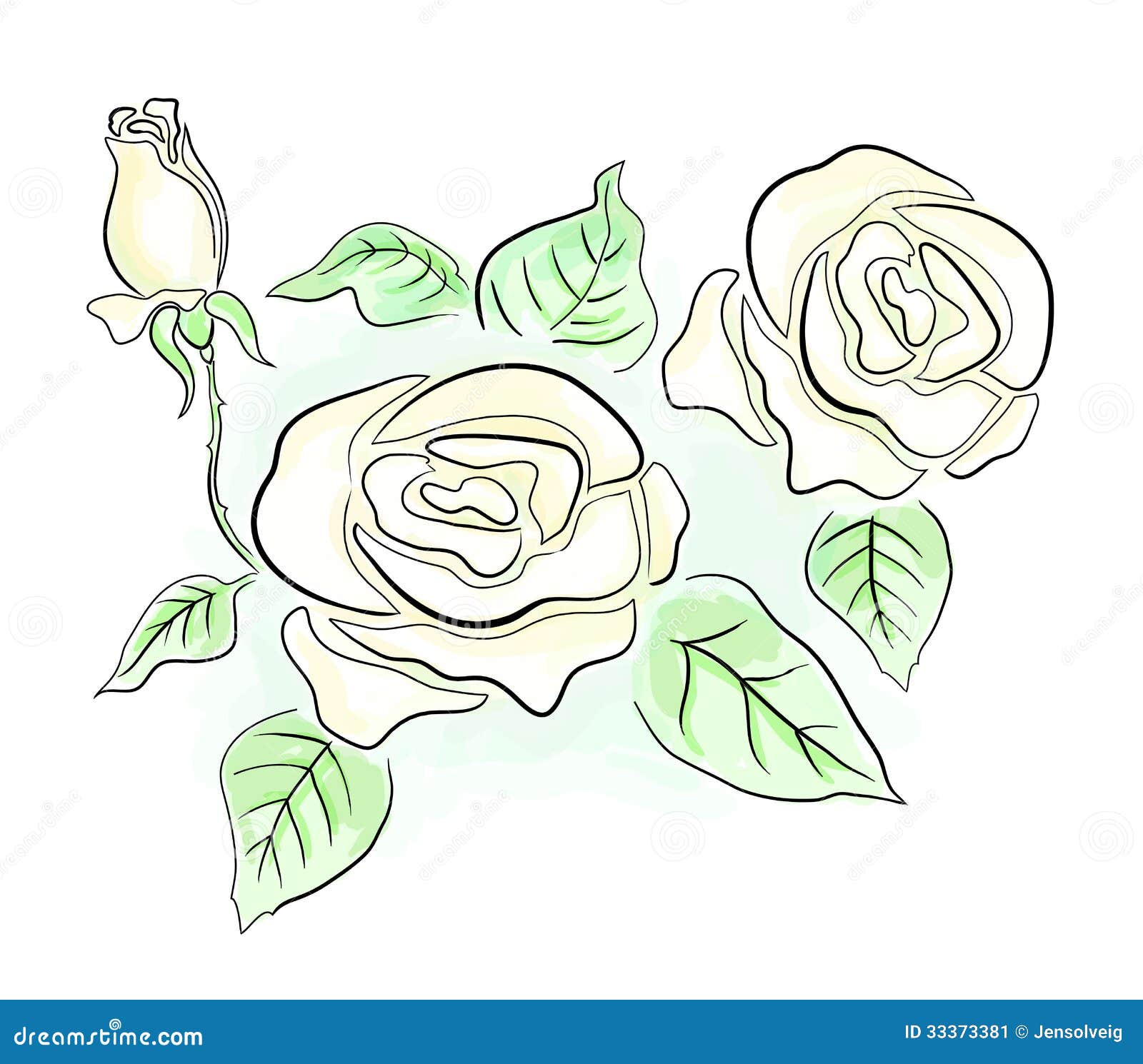 White roses stock vector. Illustration of floral, background - 33373381