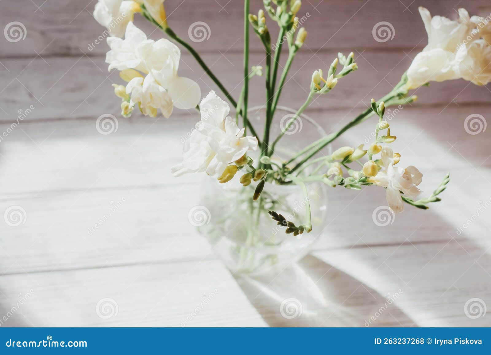 White Roses Stand in a Vase on White Wooden Boards. Stock Photo - Image ...