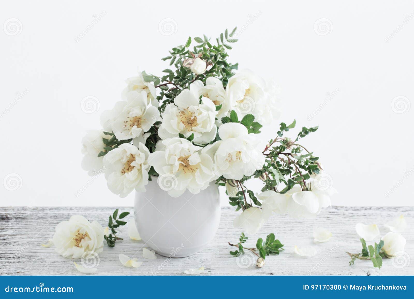White roses in vase stock photo. Image of beautiful, nature - 97170300