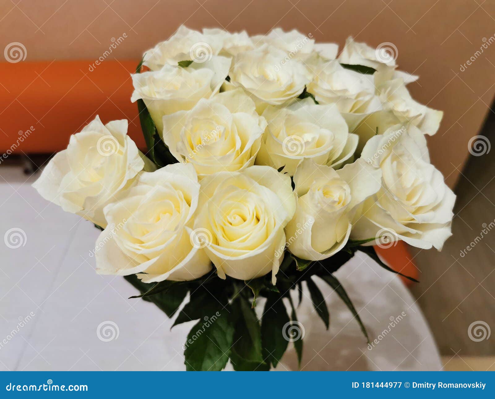 White roses in a vase stock image. Image of tile, beaterful - 181444977