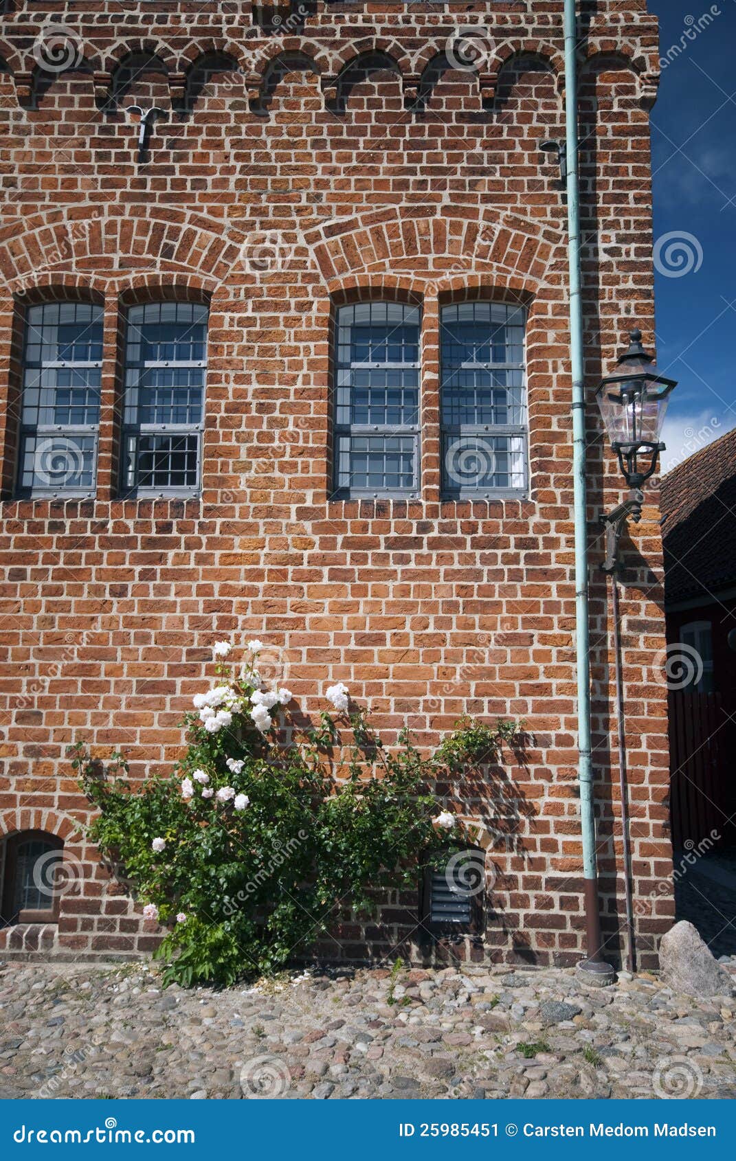 White Roses and Vintage Building Stock Image - Image of gable, ribe ...