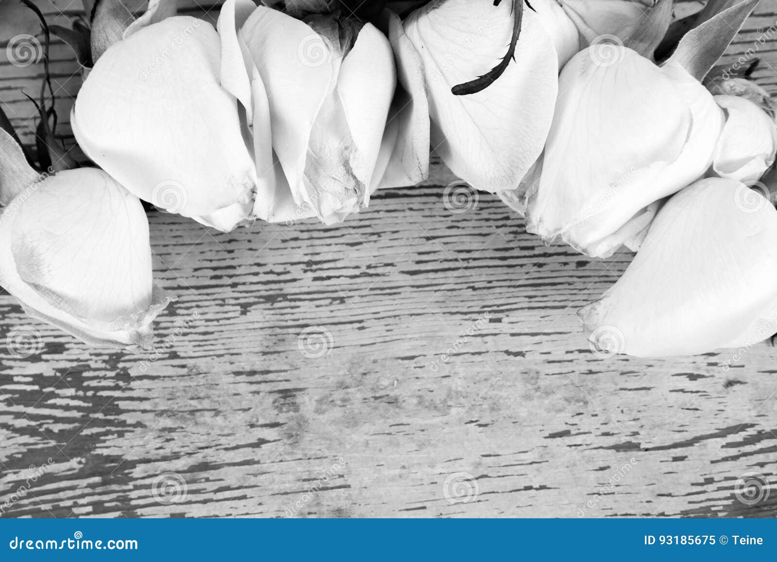 White roses stock image. Image of flora, flower, bouquet - 93185675