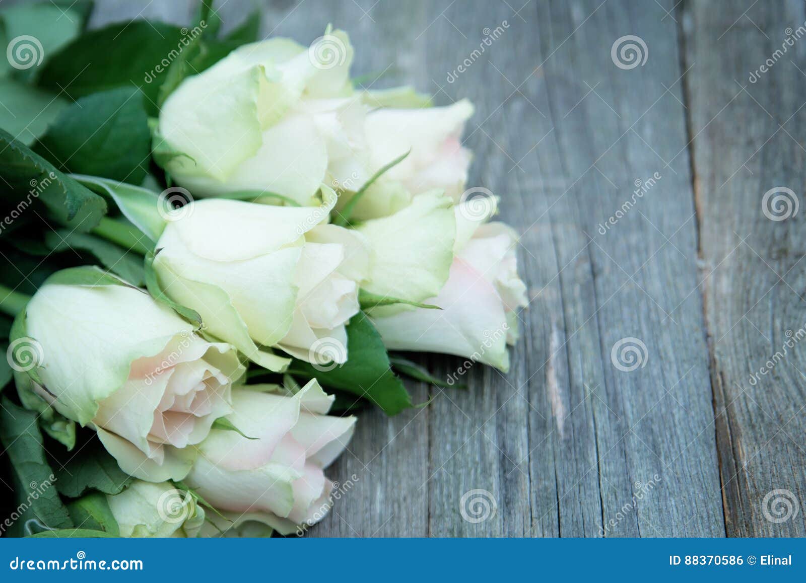 White Roses on Wooden Background. Rustic Style Stock Photo - Image of ...