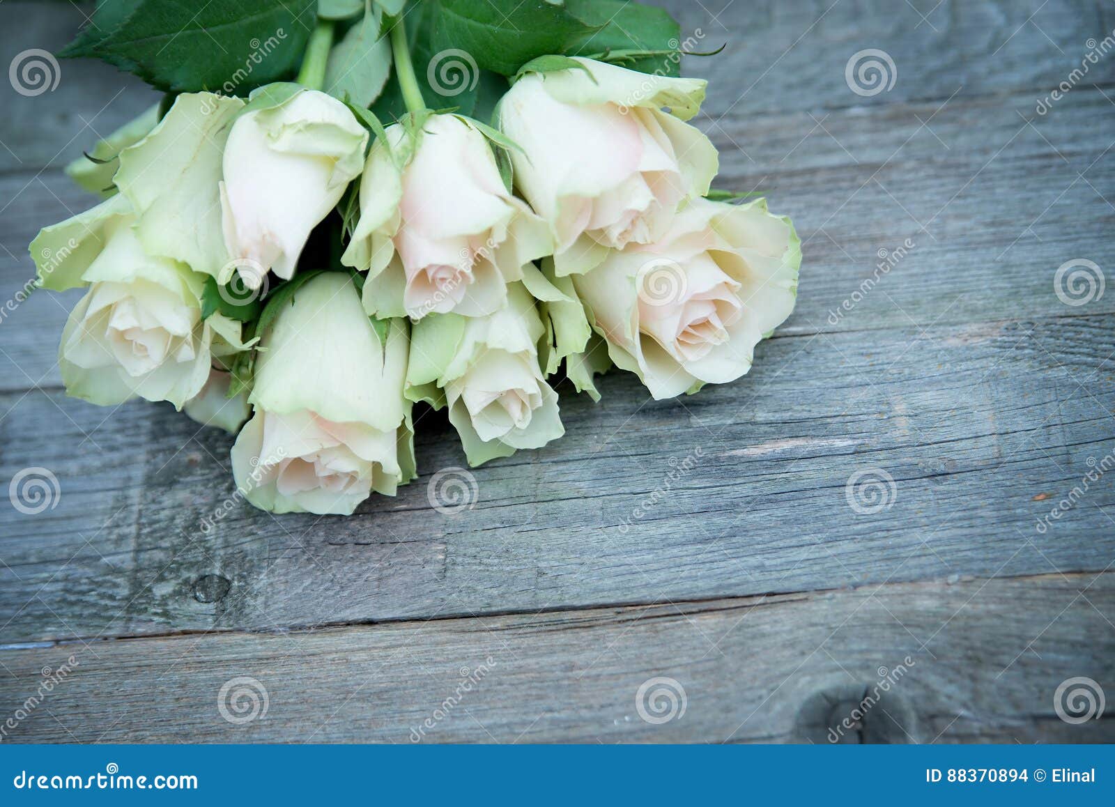 White Roses on Wooden Background. Rustic Style Stock Photo - Image of ...