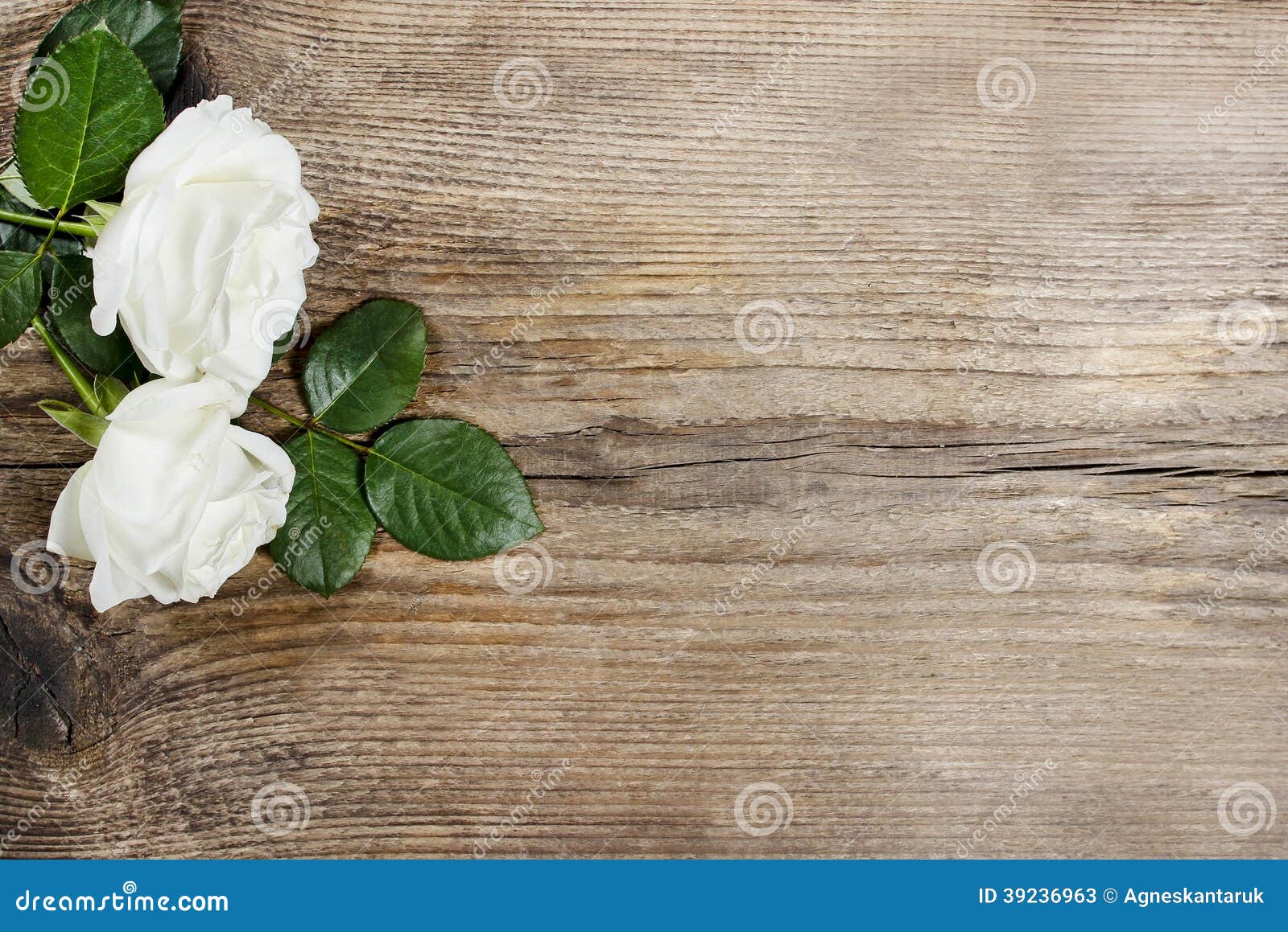 White Roses on Wooden Background Stock Image - Image of charming ...