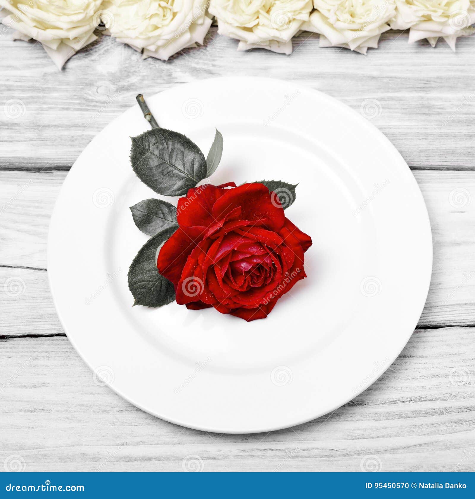 White Round Plate with a Bud of a Red Rose Stock Photo - Image of ...
