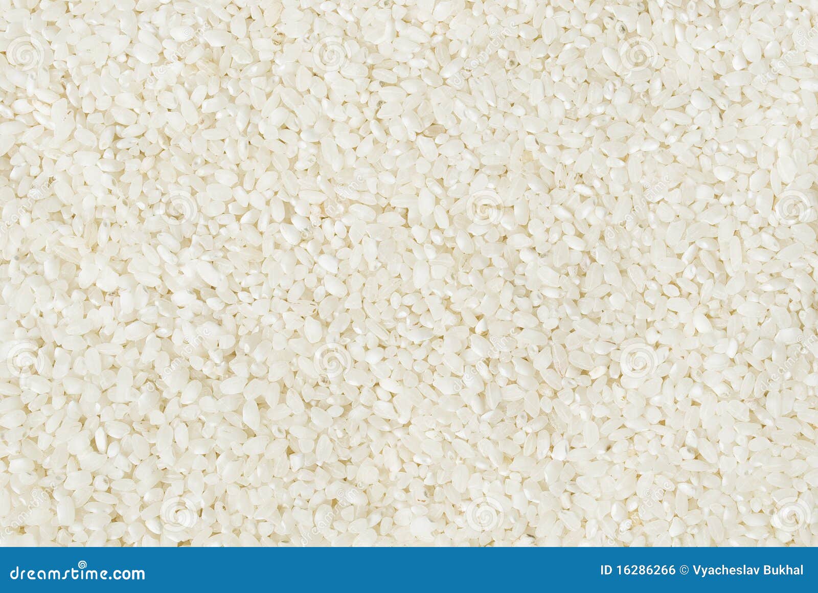 White Round Rice Texture Royalty-Free Stock Image | CartoonDealer.com ...