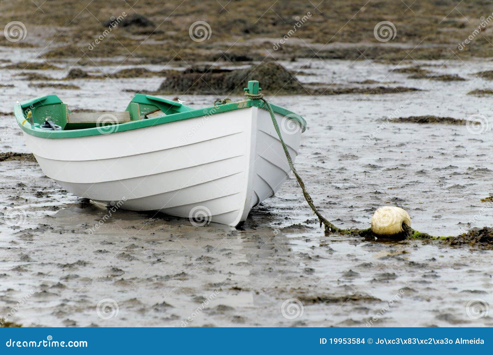 White rowboat stock photo. Image of white, anchor, water - 19953584