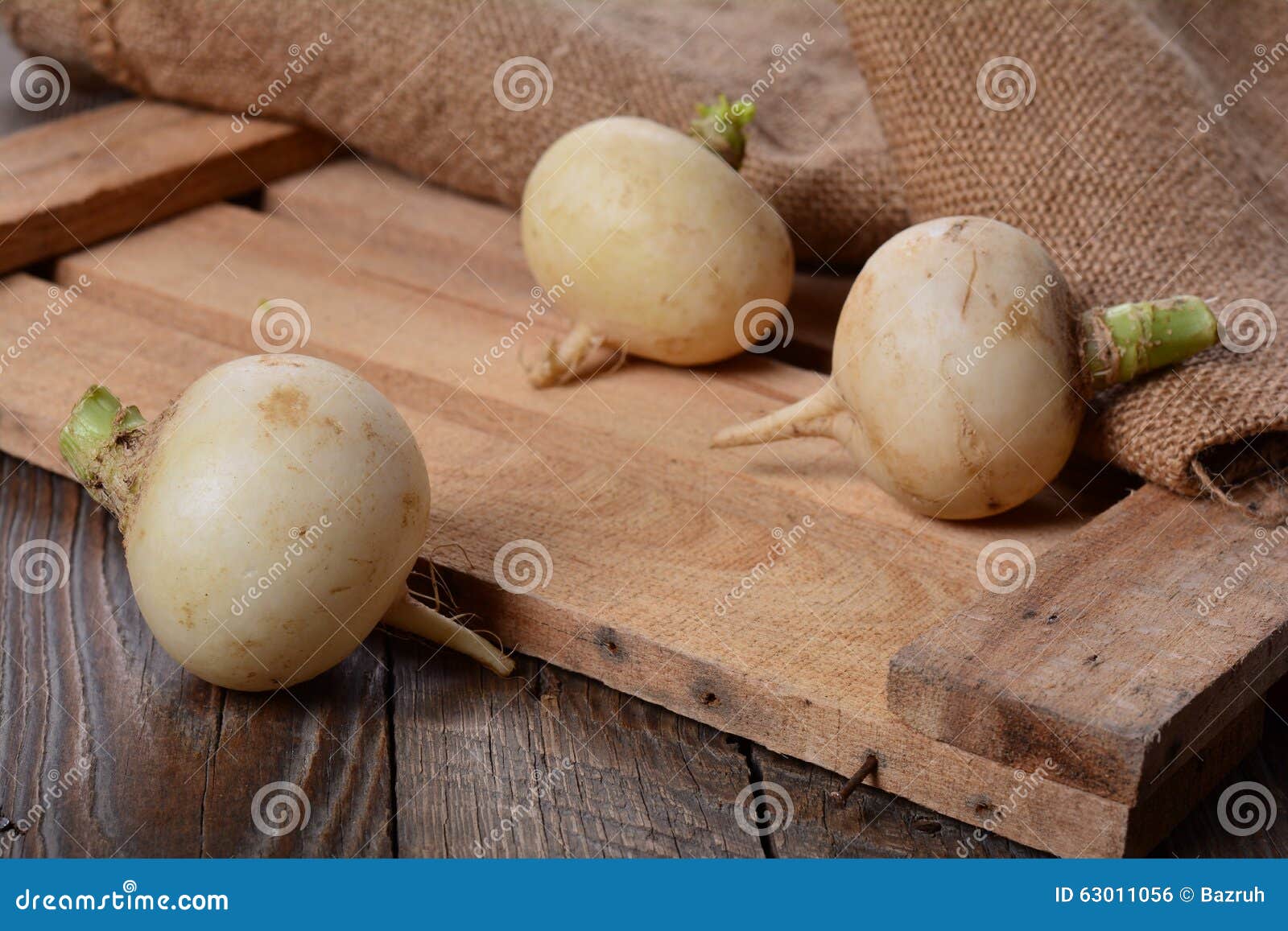 White rural turnip stock photo. Image of vegetable, turnip - 63011056