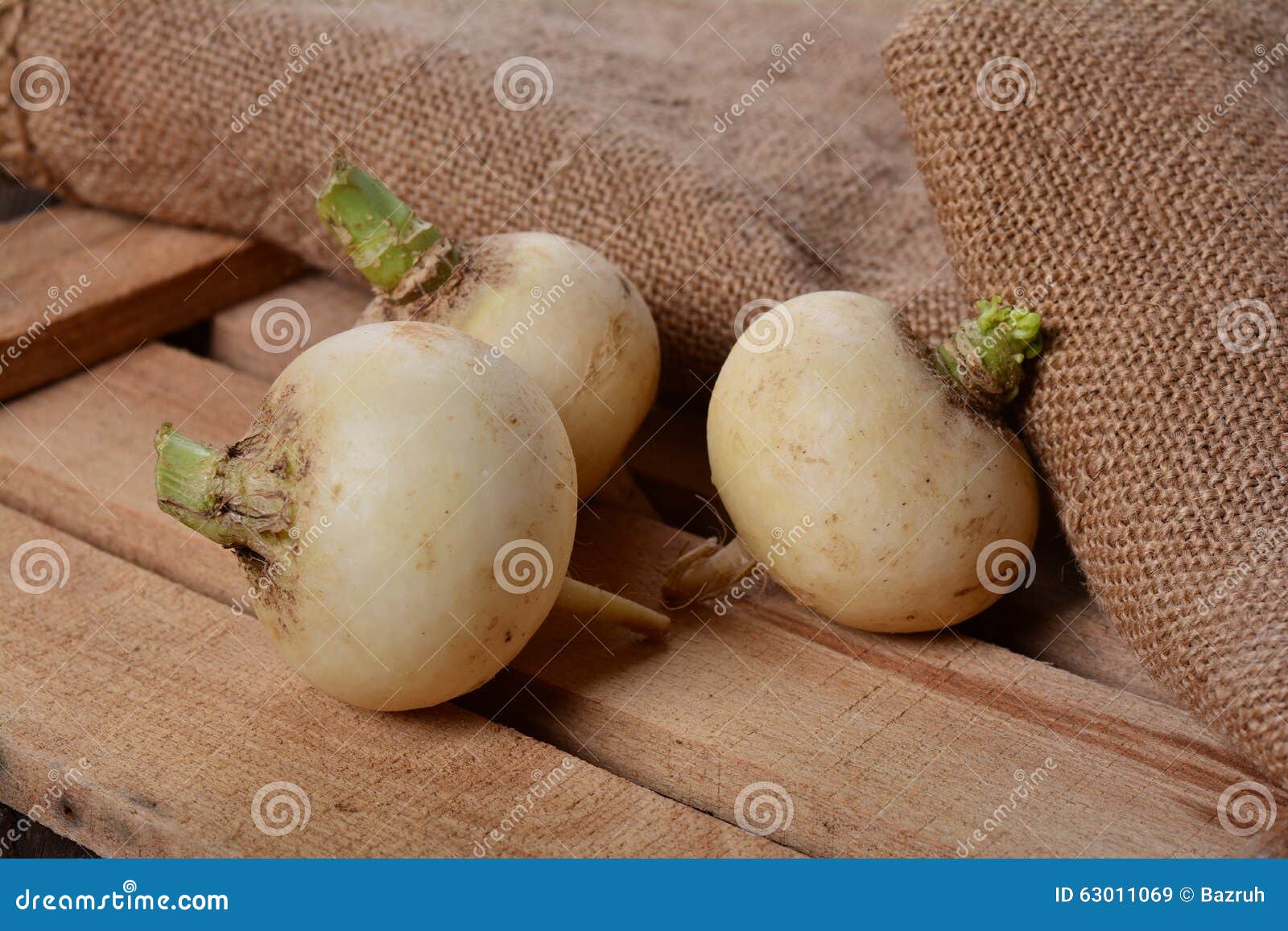 White turnip stock image. Image of care, healthy, nature - 63011069