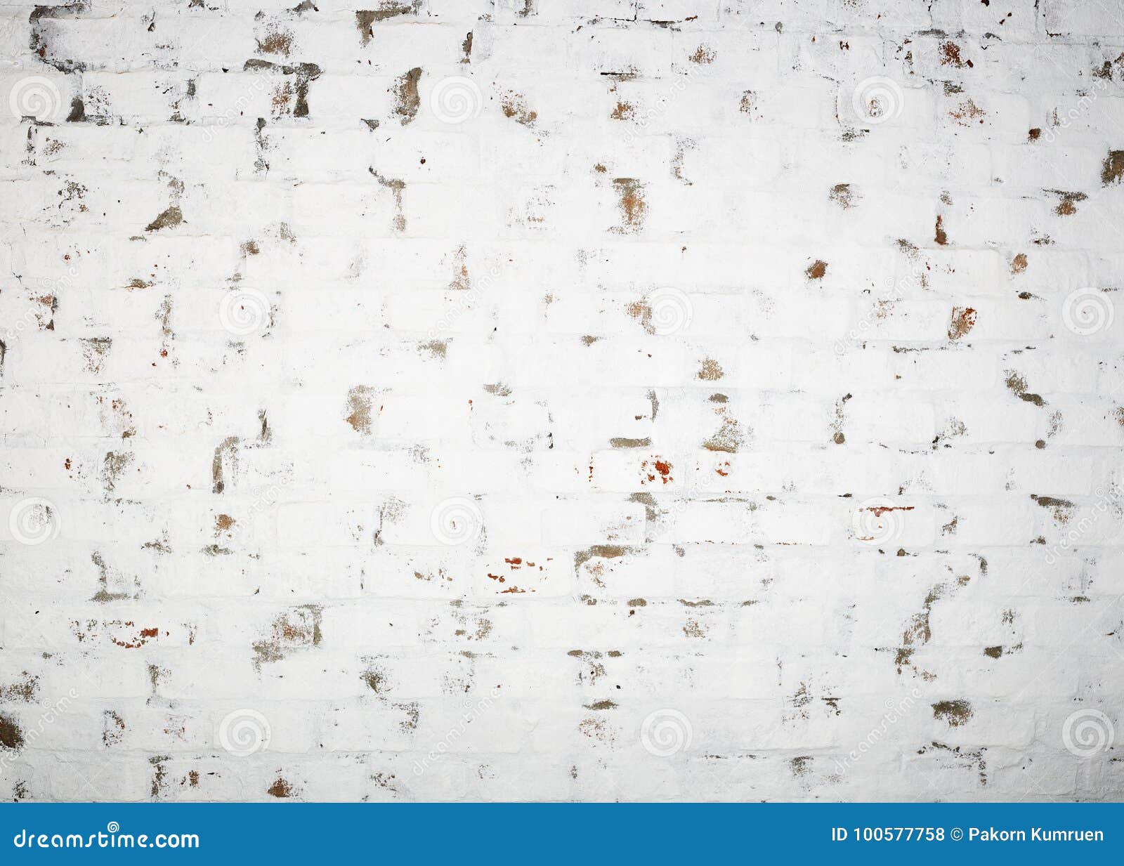 White Rustic Texture stock photo. Image of blank, copy - 100577758