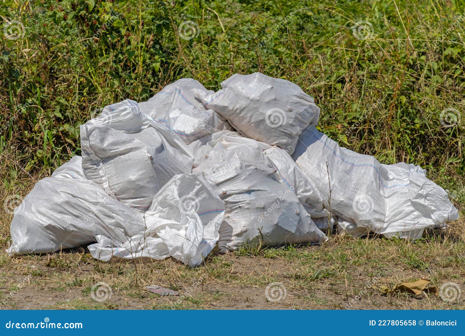 White Sacks Litter stock photo. Image of nature, sack - 227805658