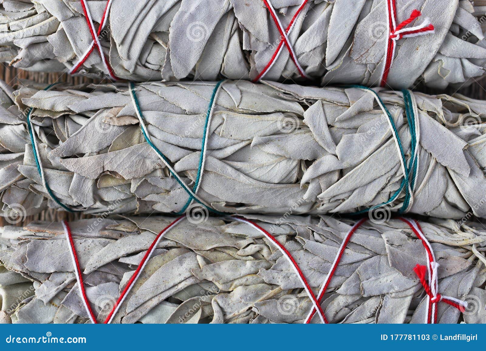 White Sage Smudge Sticks stock image. Image of natural - 177781103