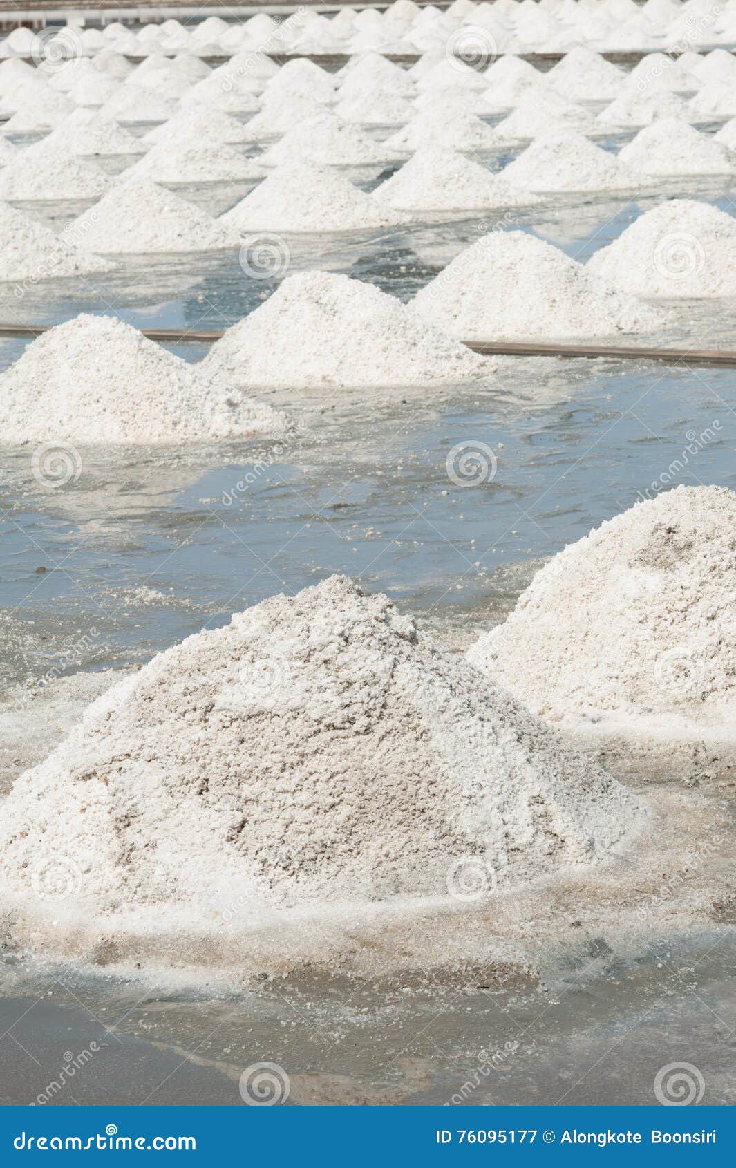 White Salt Fields in Thailand. Stock Image - Image of mineral ...