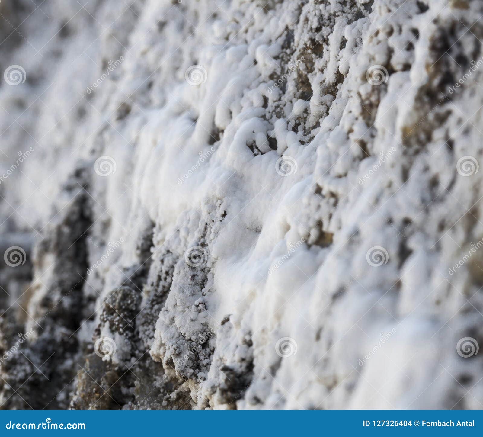 White Salt Formation Near a Salted Spring in Parajd, Romania Stock ...