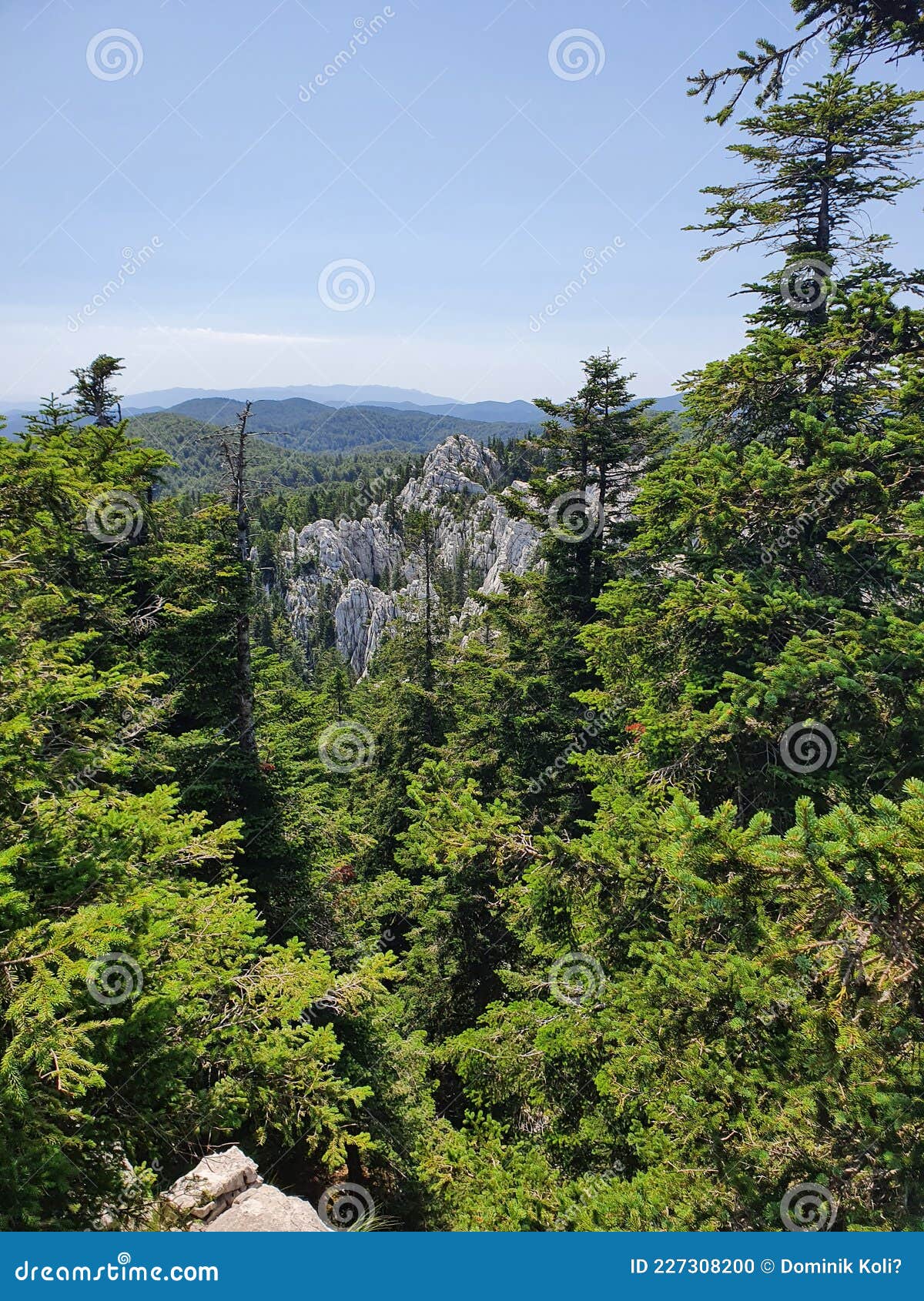 White and Samarian rocks stock photo. Image of jungle - 227308200