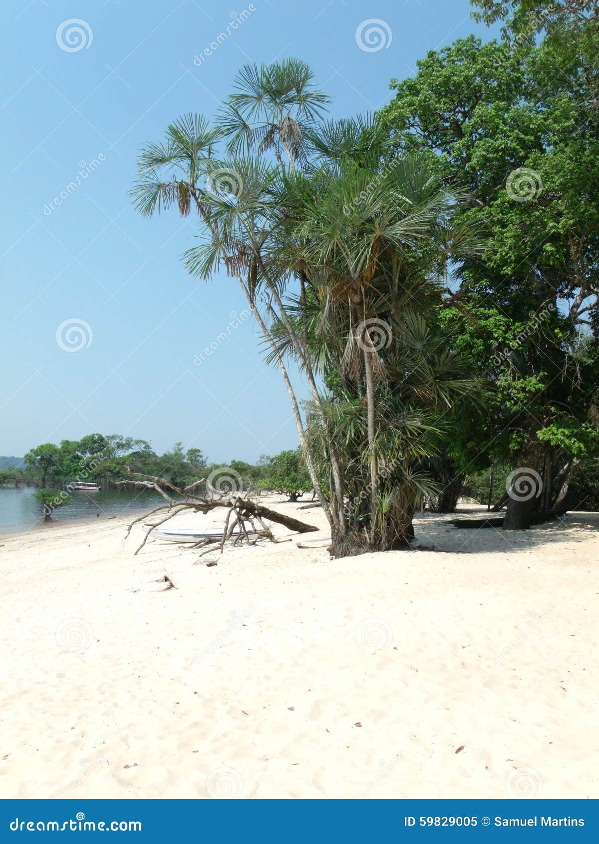 White sand of Amazon stock image. Image of forest, brazil - 59829005