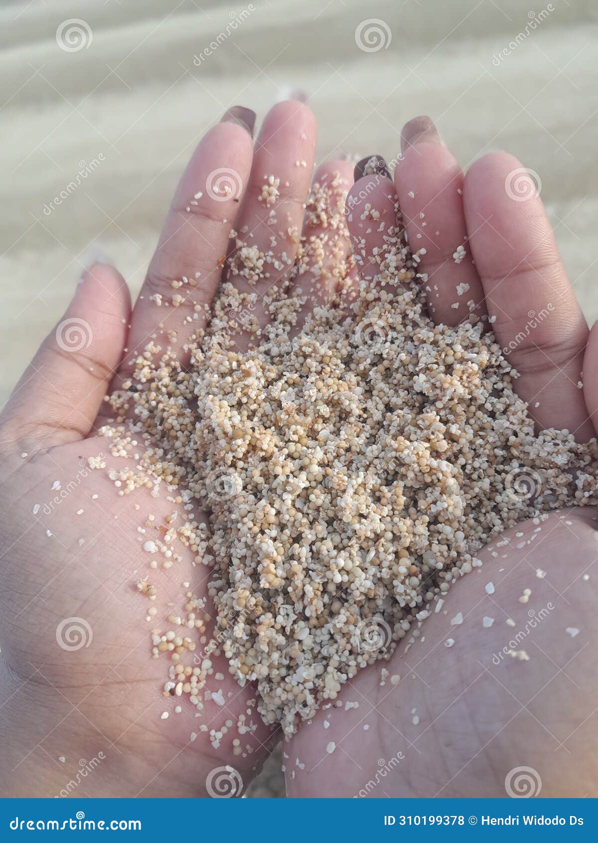 White Sand from Coral Reefs Pounded by Ocean Waves for Decades Stock ...