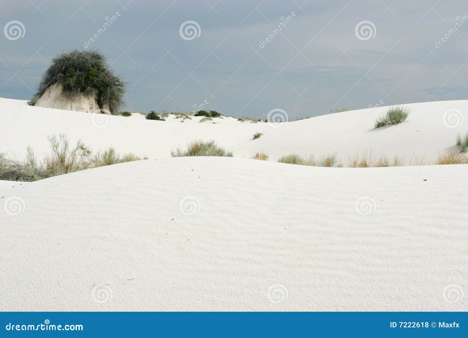 White sand dunes stock photo. Image of white, dune, sand - 7222618