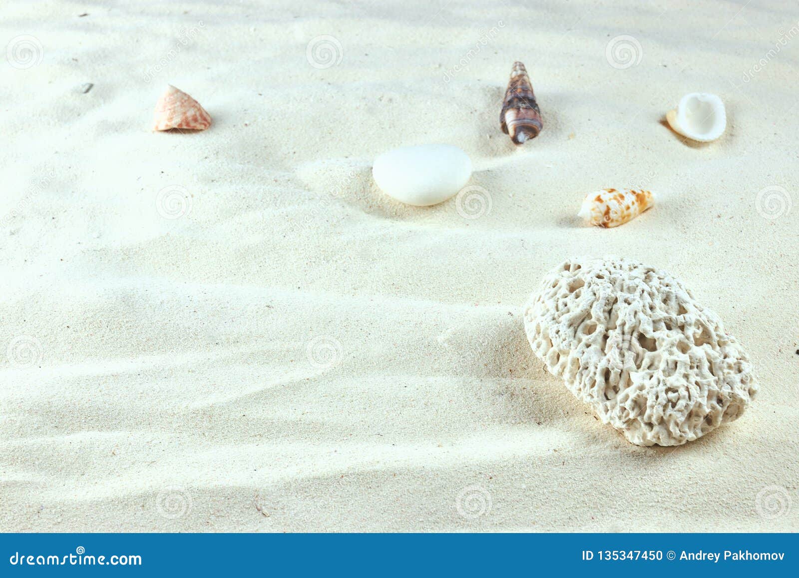 White Sand and Shells. the Background of the Sea Beach. Vertical View ...
