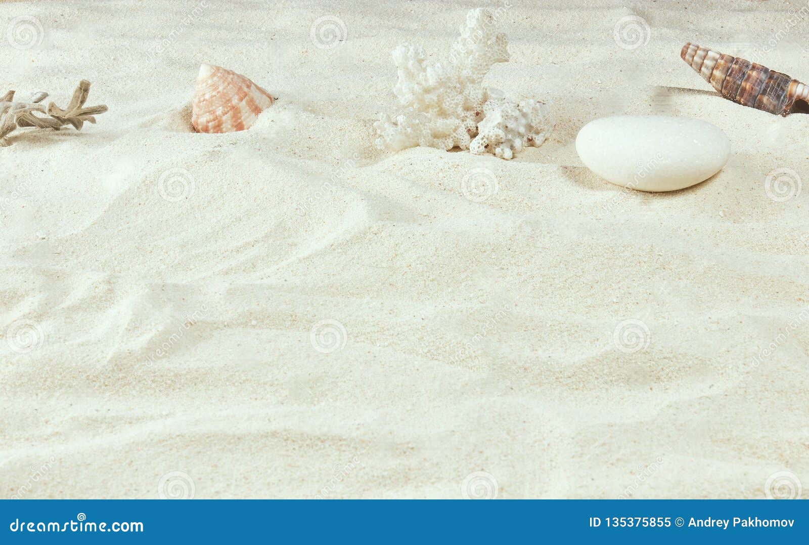 White Sand and Shells. the Background of the Sea Beach. Vertical View ...