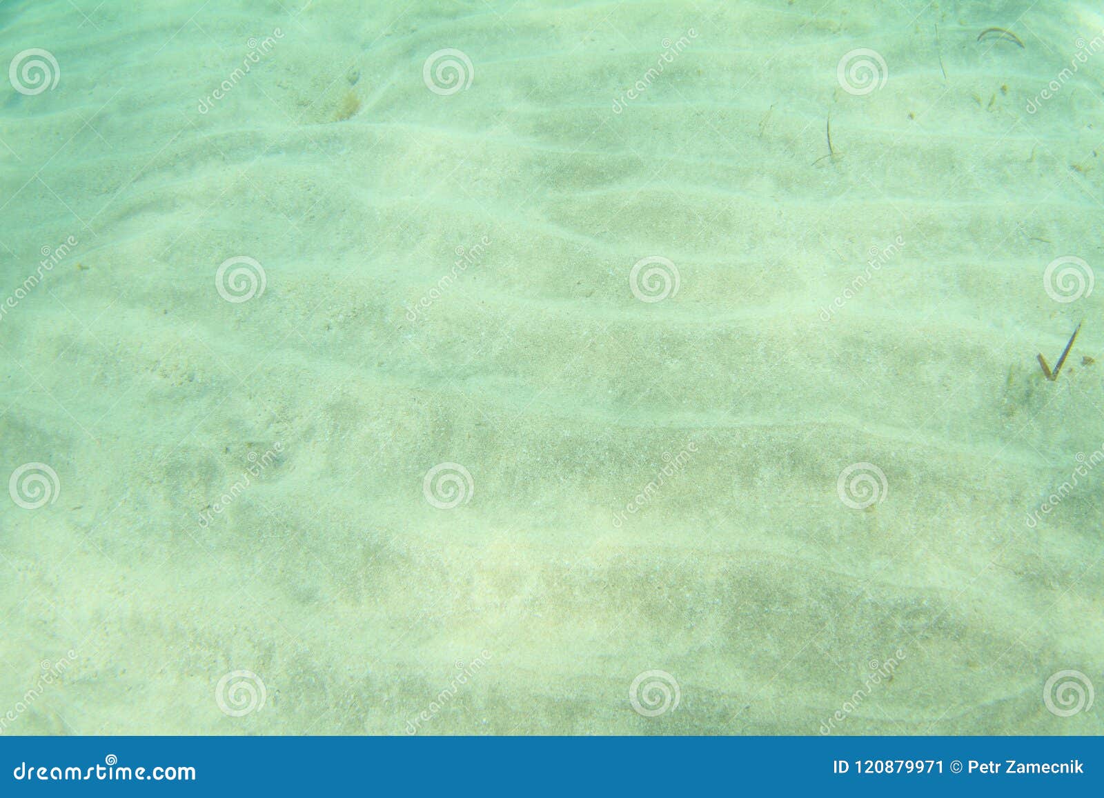 White sand under the sea stock image. Image of wave - 120879971