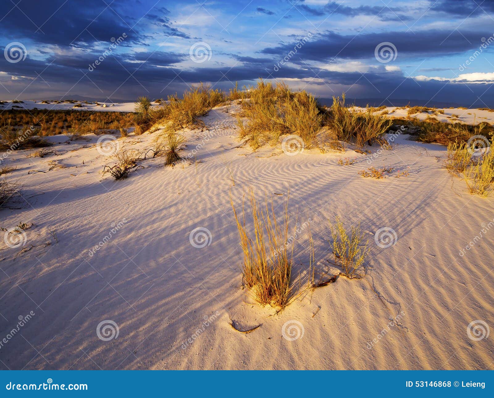 The Red Sands At Sunset Outside Riyadh, Kingdom Of Saudi Arabia Stock ...