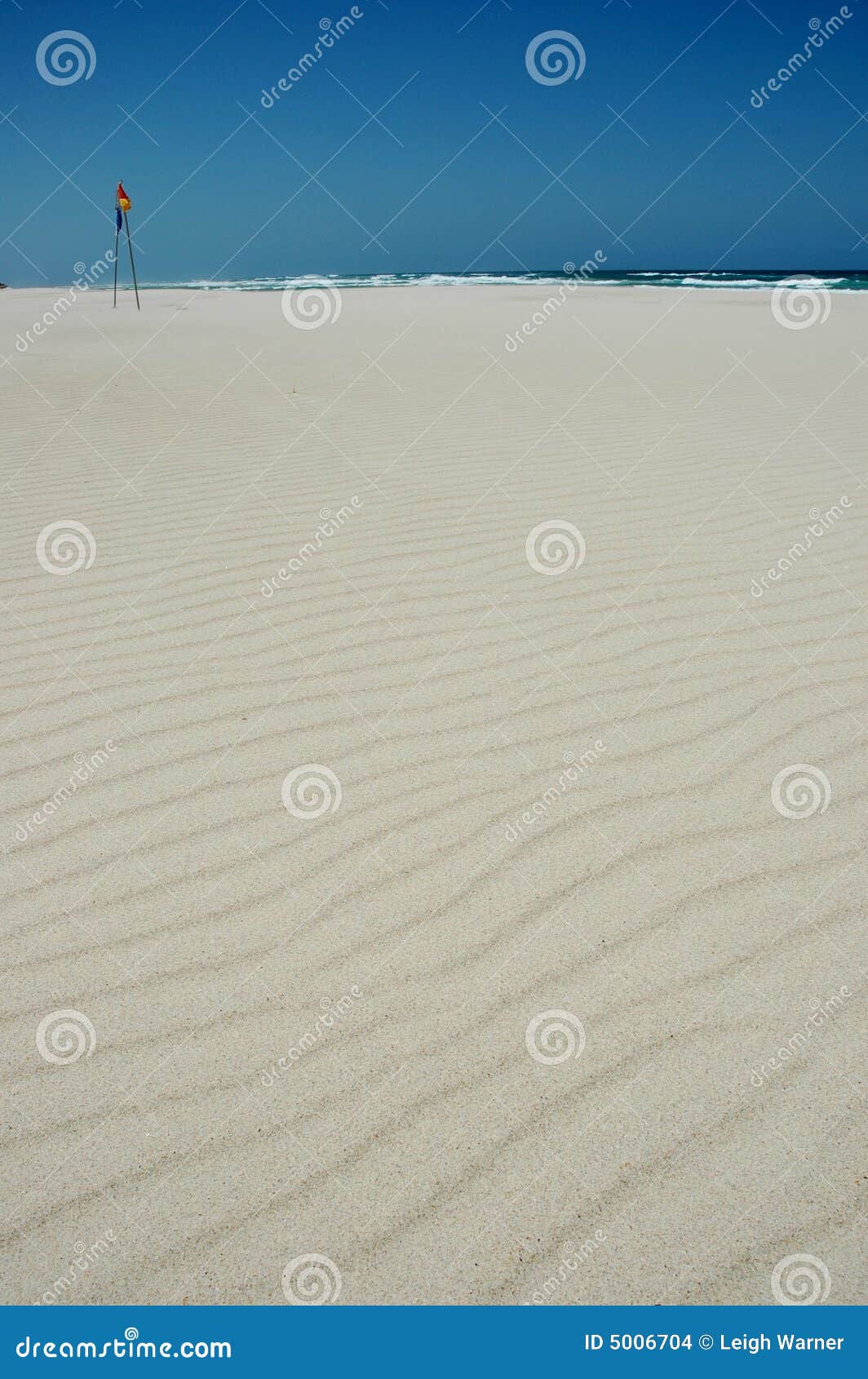White Sandy Barrier Dune Covered In Tufts Of Seagrass To Help With ...