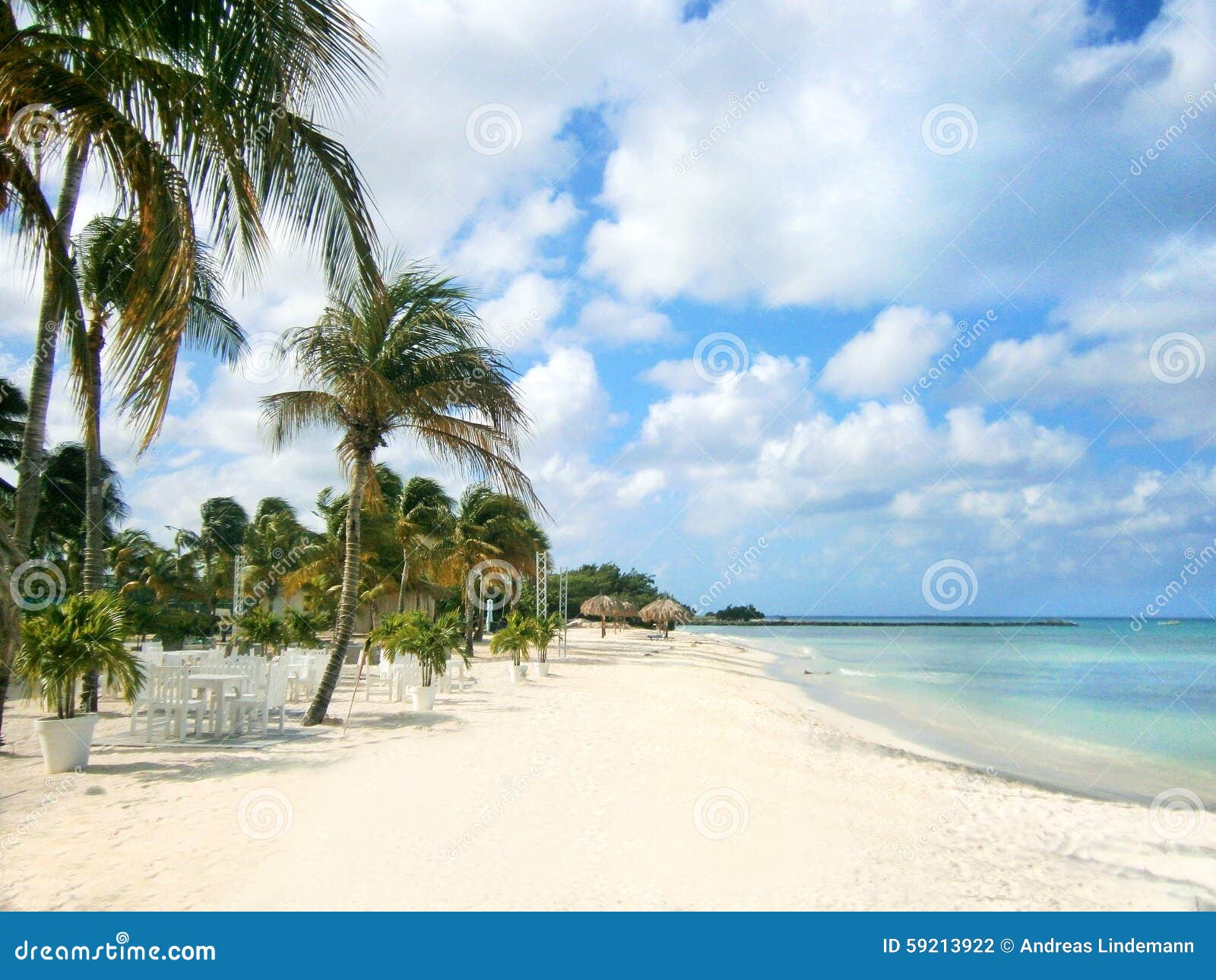 White Sandy Beach with Palm Trees Stock Photo - Image of trees, beach ...