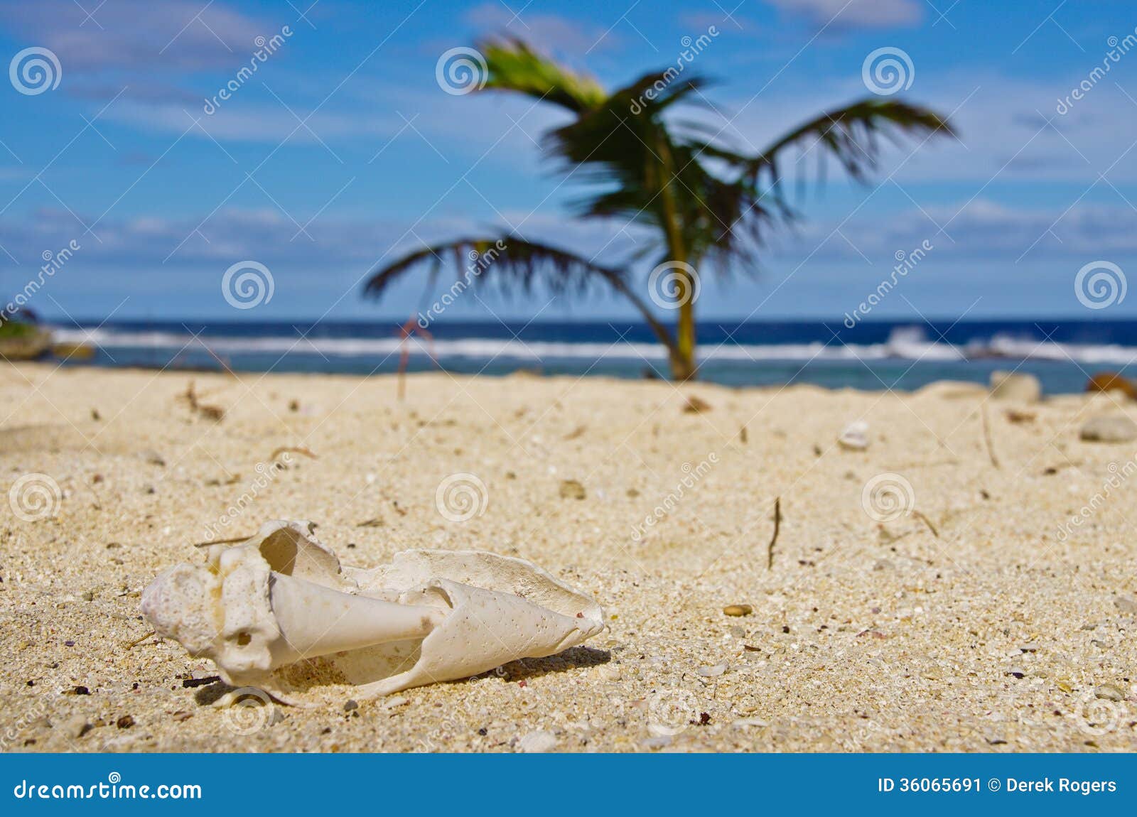 White sandy beach in Tonga stock image. Image of beautiful - 36065691