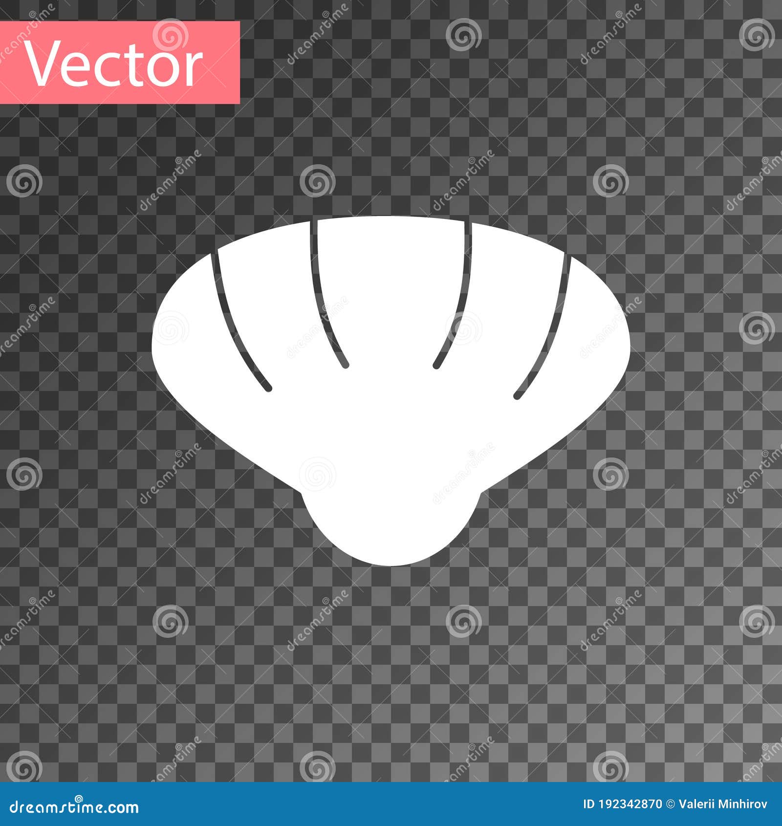 White Scallop Sea Shell Icon Isolated on Transparent Background ...
