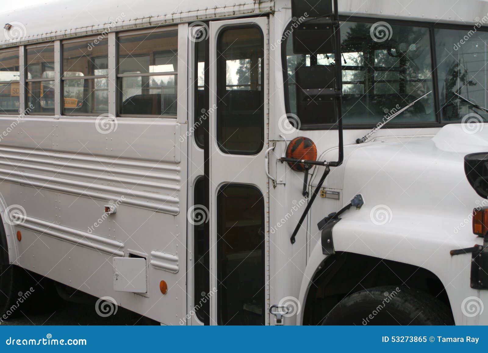White School Bus stock image. Image of travel, children - 53273865