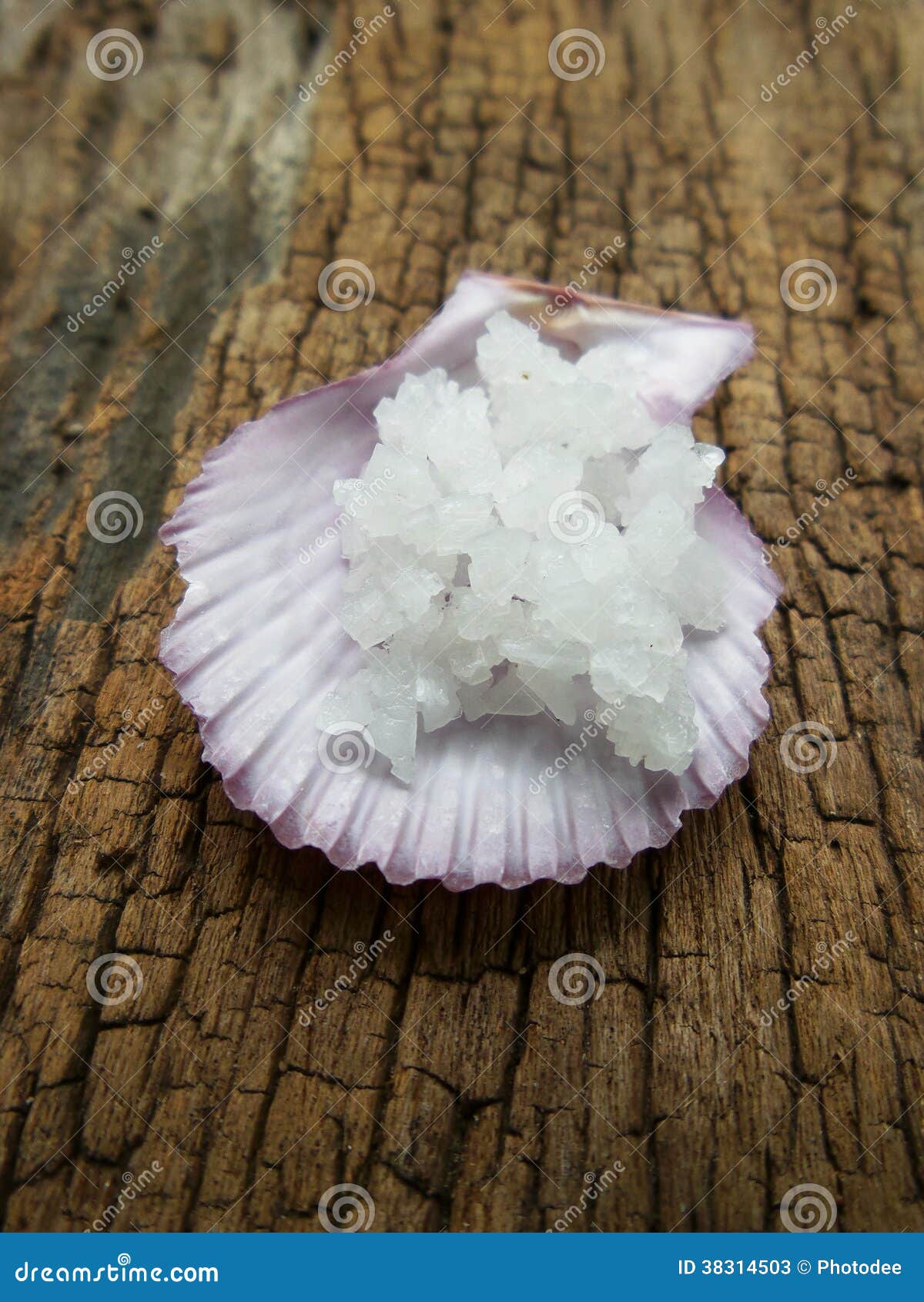 White sea salt stock image. Image of spice, fresh, nature - 38314503