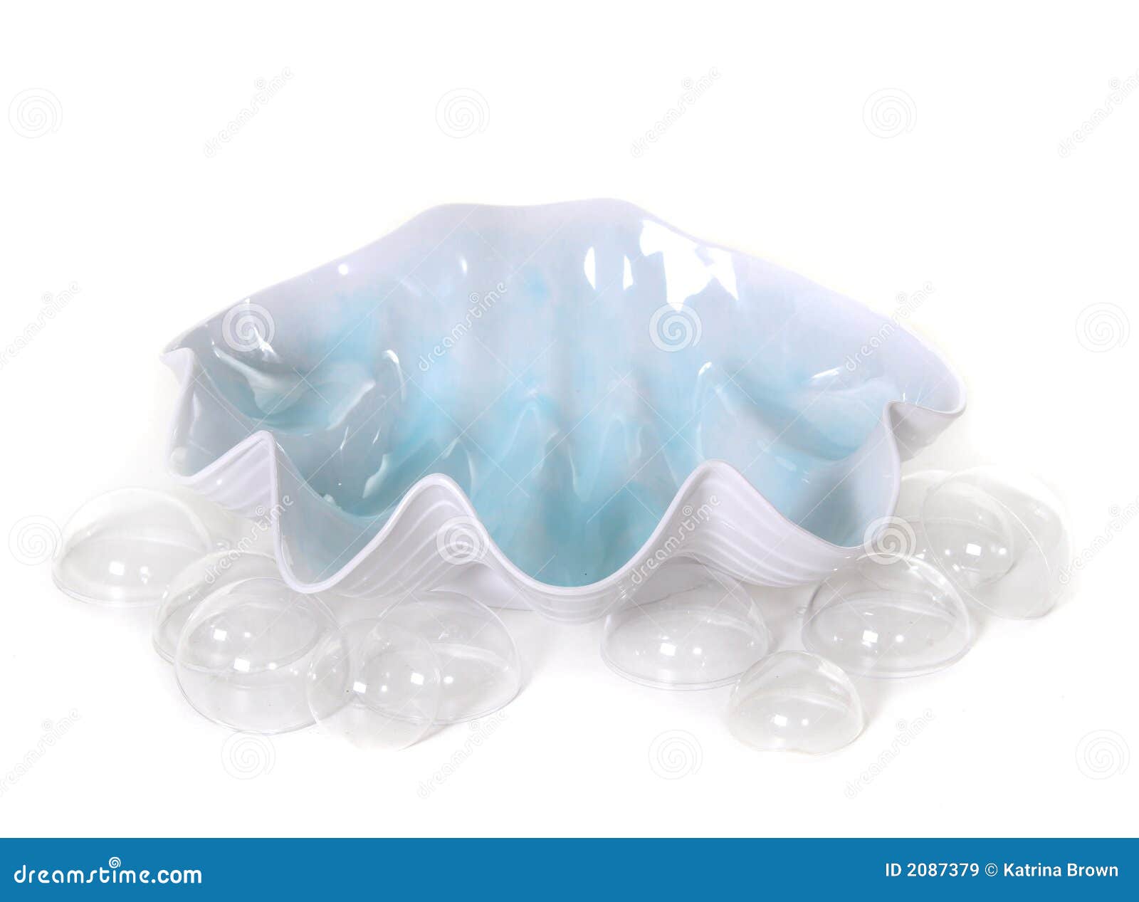 White Sea Shell with Bubbles Stock Image - Image of believe, isolate ...