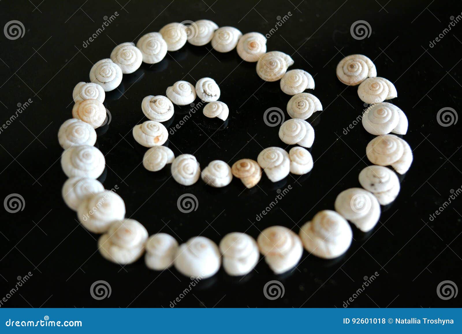 White sea shells art stock photo. Image of texture, abstract - 92601018