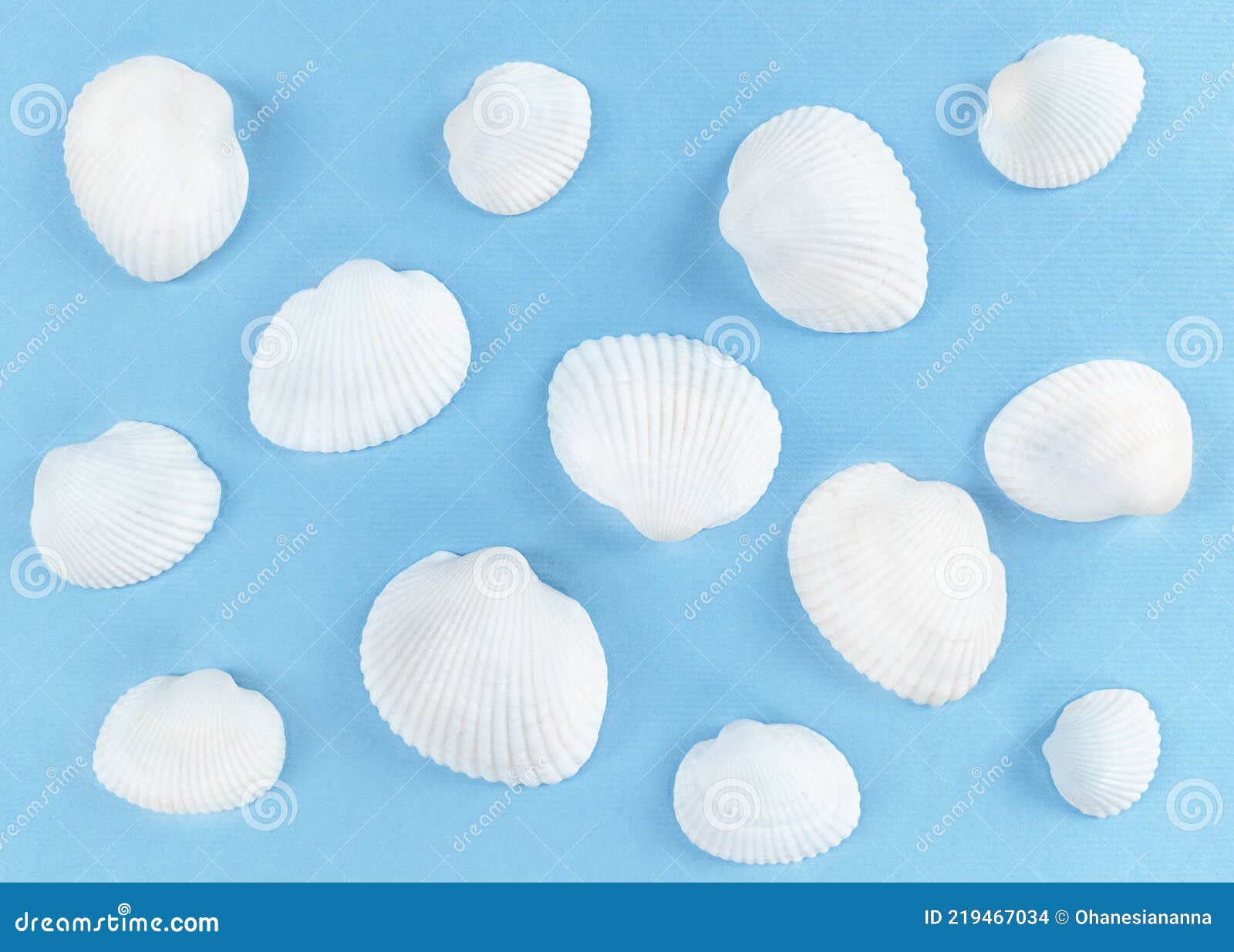 White Sea Shells on a Blue Background. Stock Photo - Image of closeup ...