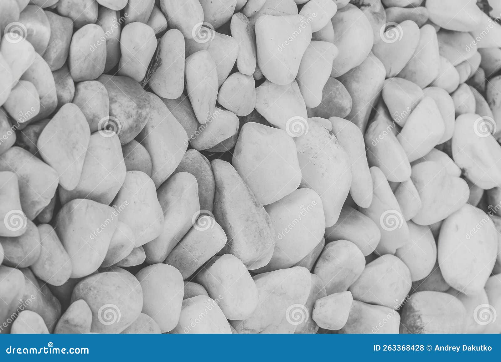 White Sea Stones Texture Light Rock Background Pebble Stock Photo ...