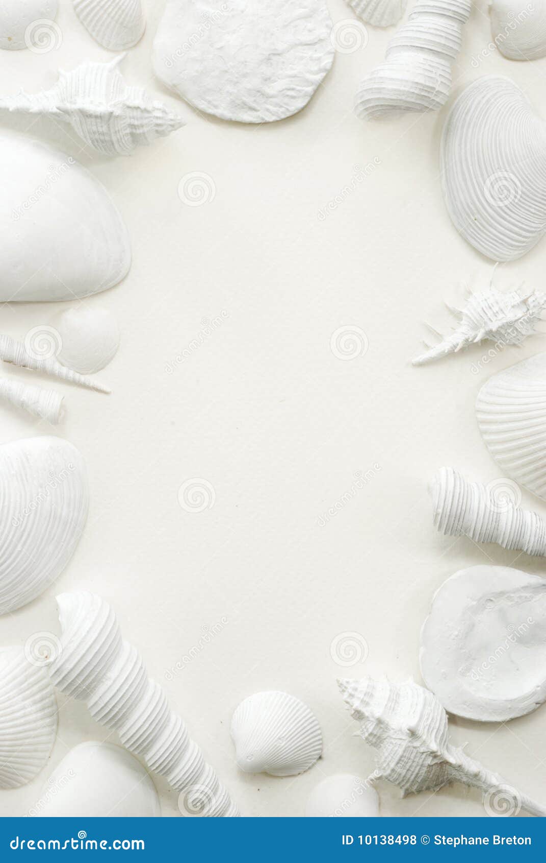 White Seashell Frame Background Stock Photo - Image of beach, close ...