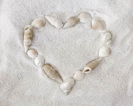 White Seashells on White Sand Stock Image - Image of white, group: 15489531