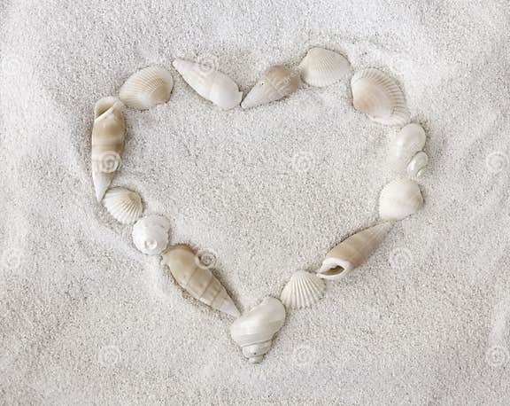 White Seashells on White Sand Stock Image - Image of white, group: 15489531