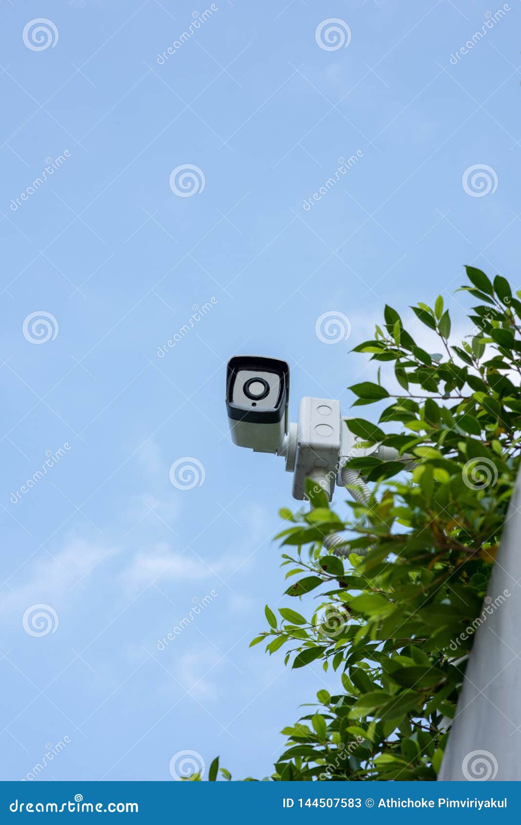 A White Security CCTV Camera with Trees Surrounded. Stock Image - Image ...