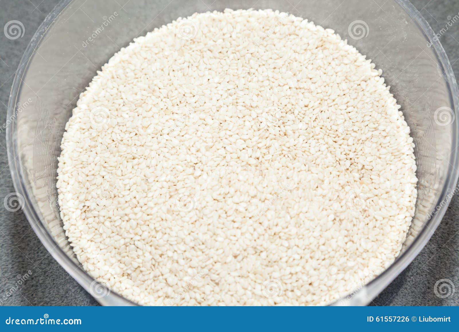 White sesame seed kernels stock photo. Image of fiber - 61557226