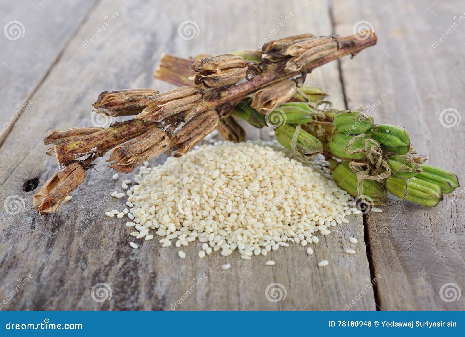 White Sesame Seed and Sesame Pods with Stem on Wooden Table Stock Photo ...