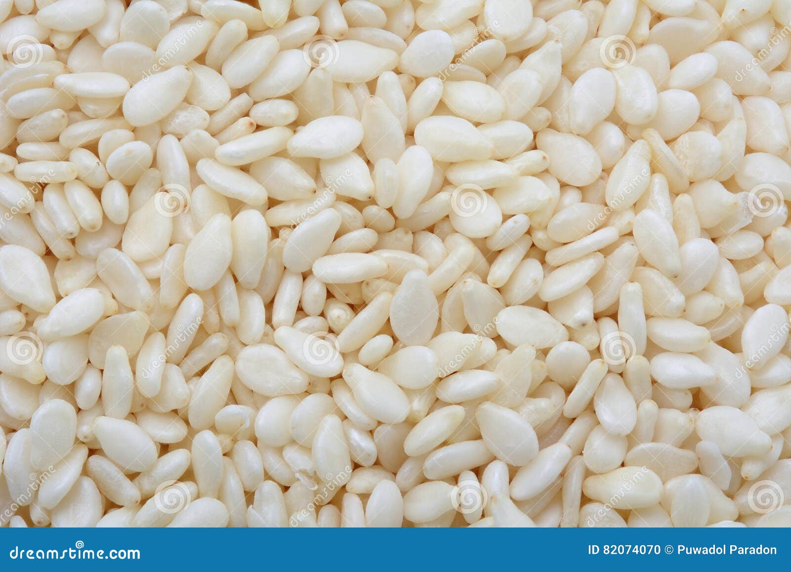 White Sesame Seeds Background Stock Photo - Image of group, harvest ...